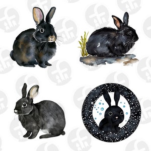 Symbol of 2023: the Black Water Rabbit - 24 Unique Designs - Year of ...