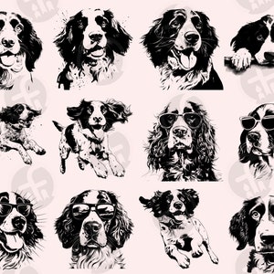 English Springer Spaniel SVG Bundle - 96 Designs - Spaniel Clipart ...