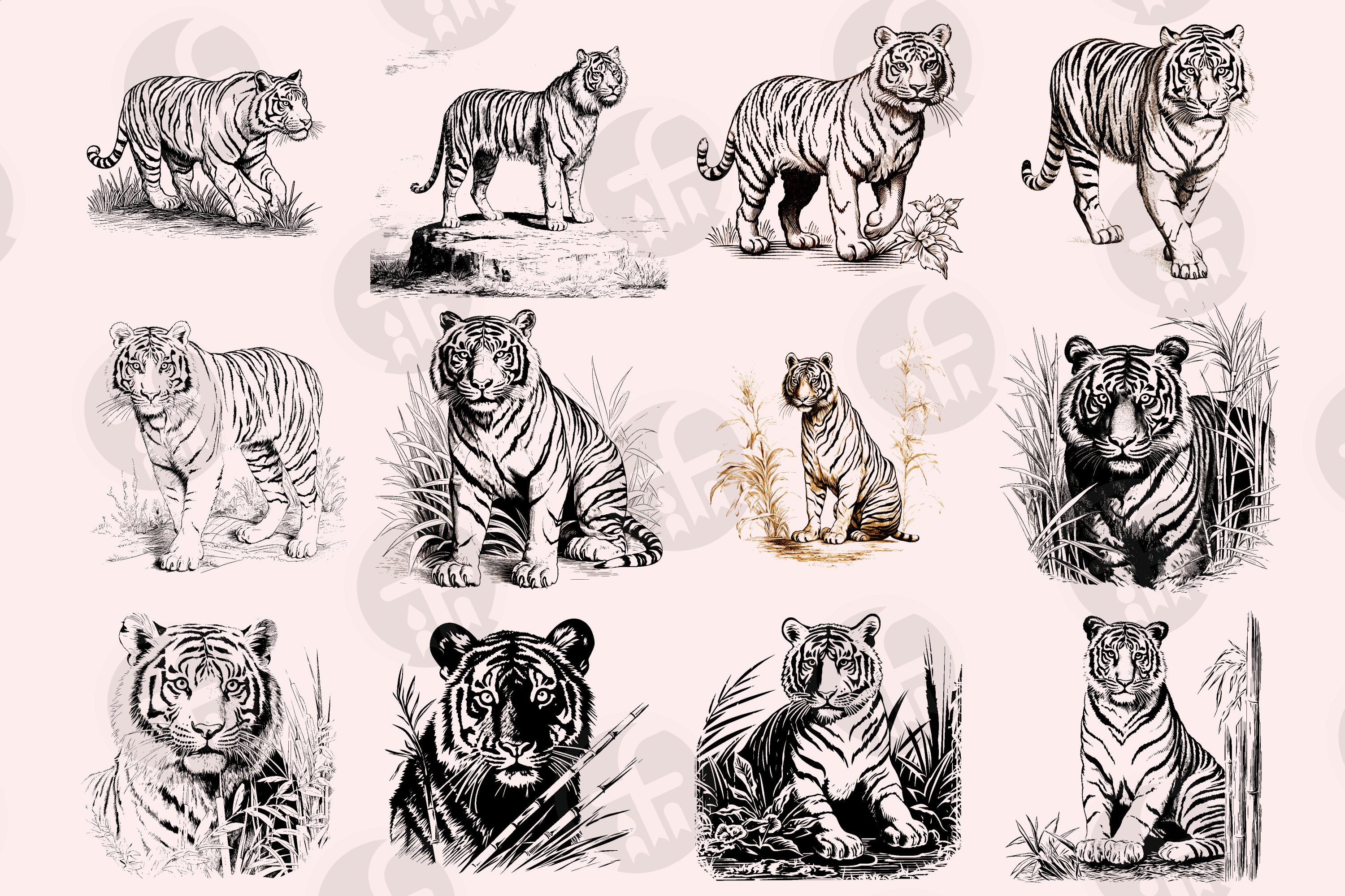 Tiger and Bamboo SVG Bundle 72 Vintage Engravings Cut - Etsy