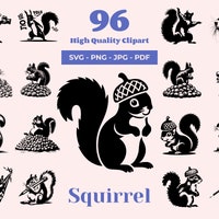 Squirrel Svg - Etsy