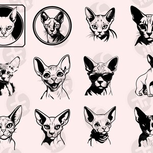 Sphynx Cat SVG Bundle - 96 Unique Cut Files - Hairless Beauty ...