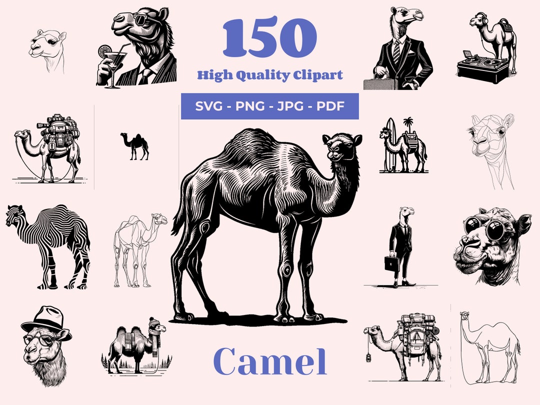 Camel SVG Bundle: Desert Animal Cut Files (digital Download) - Etsy