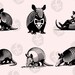Armadillo SVG Bundle 96 Cut Files Designs for Laser Cutting, Cricut, and Sublimation Texas Dillo ...