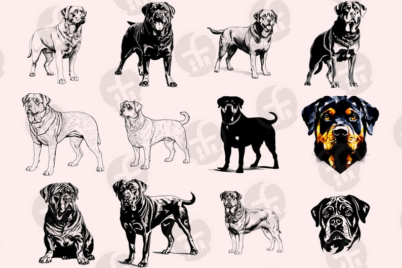 Rottweiler SVG Bundle 80 Cut Files Rottie Art DIY Craft - Etsy