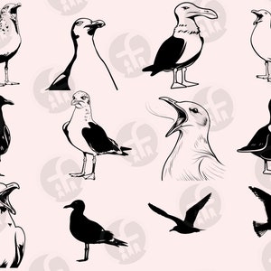 Seagull SVG Bundle 96 Cut Files Beach Bird Clipart Seagull Prints ...