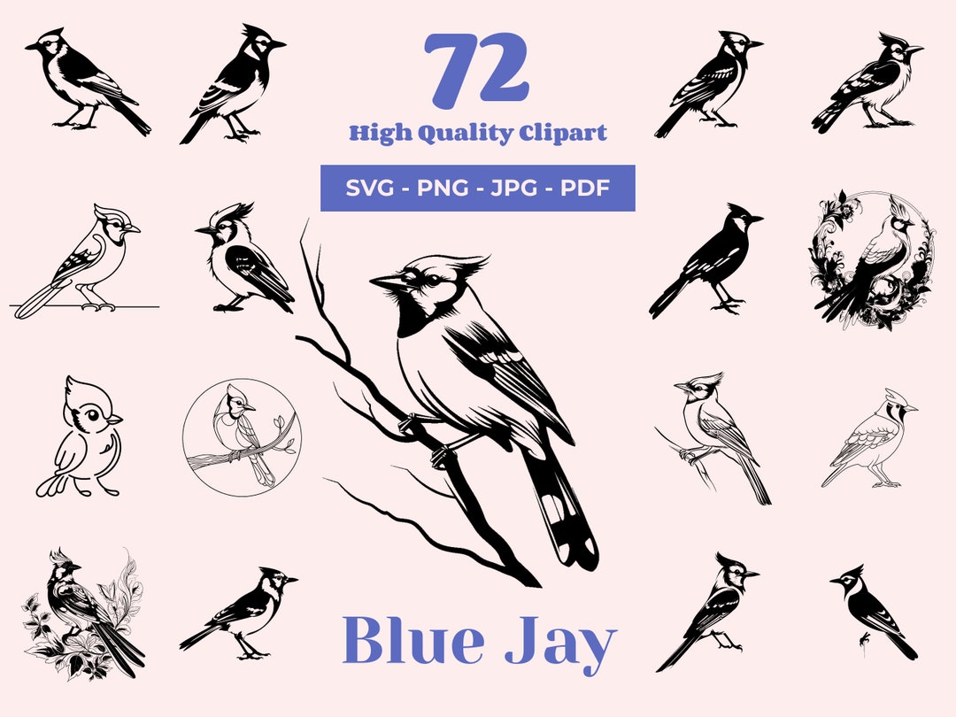 Black and White Blue Jay SVG Bundle - 72 Distinct Bird Designs - Ideal ...