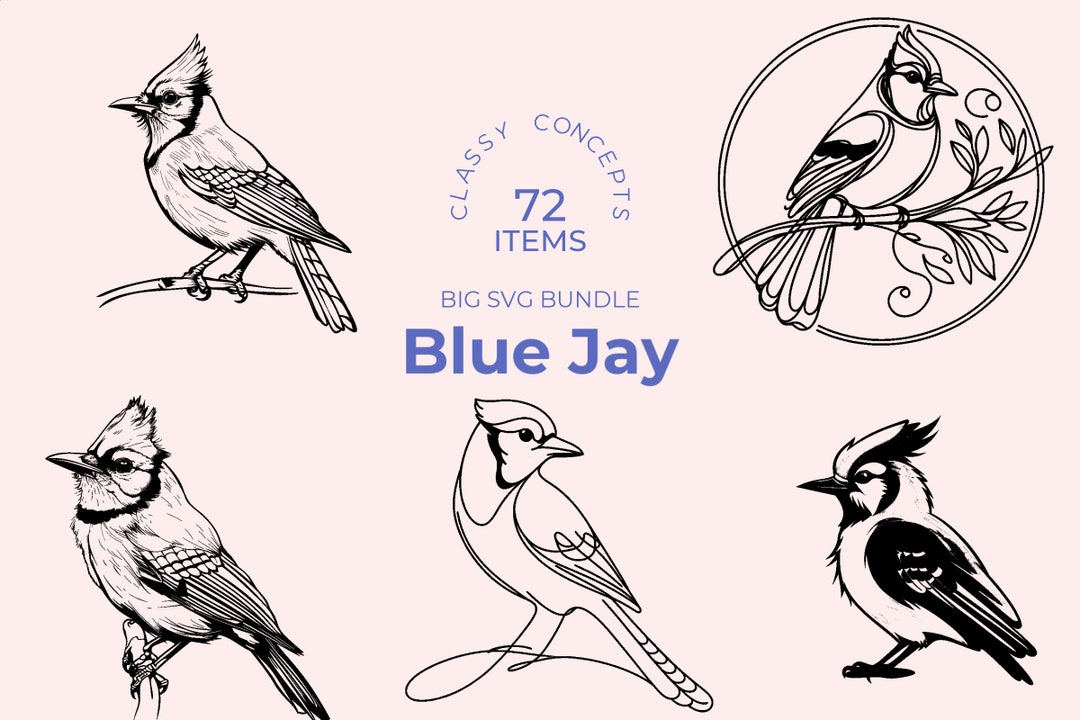 Black and White Blue Jay SVG Bundle 72 Distinct Bird Designs Ideal for ...