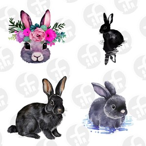 Symbol of 2023: the Black Water Rabbit - 24 Unique Designs - Year of ...