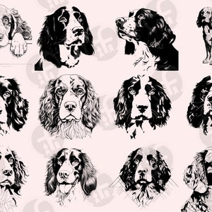 English Springer Spaniel SVG Bundle 96 Cut Files Energetic Hunting Dog ...