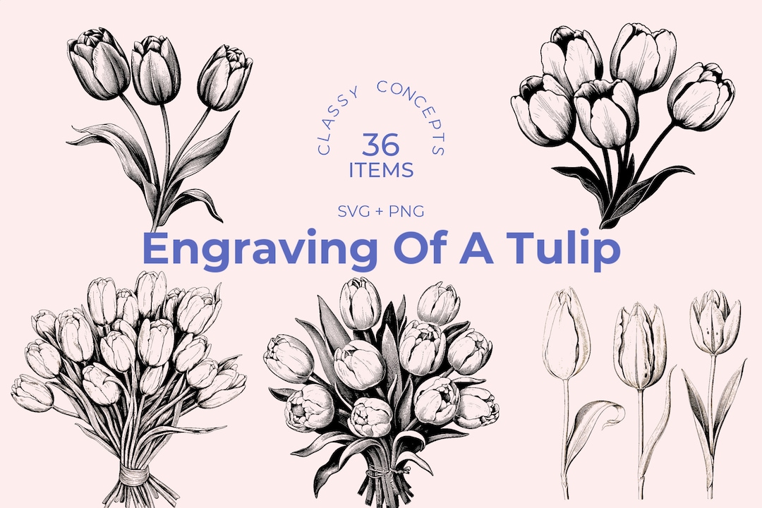 Tulip Engraving SVG Bundle: 36 Floral Cut Files (digital Download) - Etsy