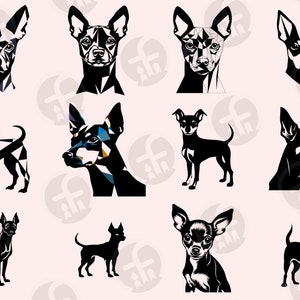 Miniature Pinscher SVG Bundle: 76 Cricut & Sublimation Designs (digital ...