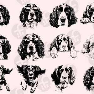 English Springer Spaniel SVG Bundle 96 Cut Files Energetic Hunting Dog ...