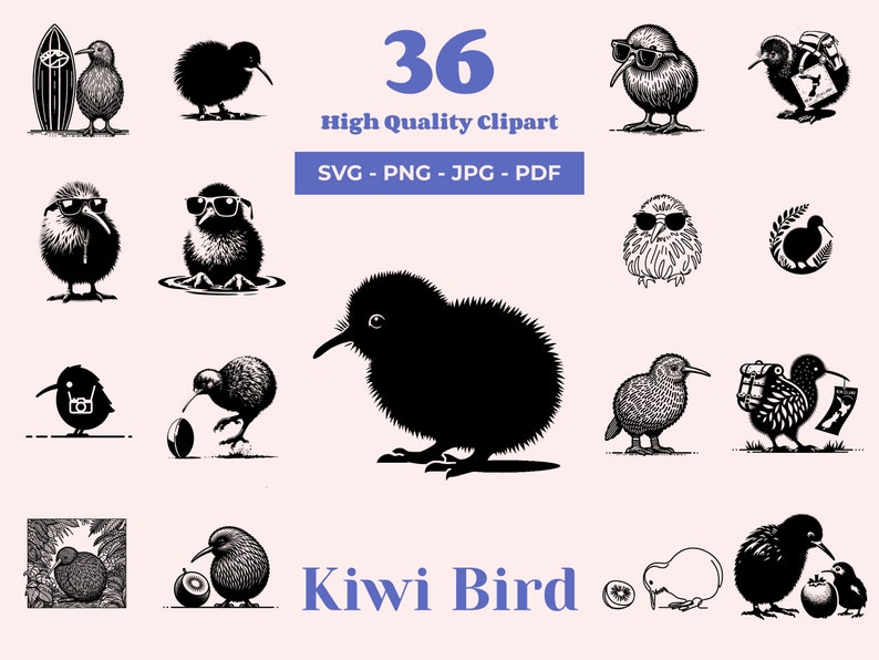 Kiwi Bird SVG Clipart Bundle: New Zealand Bird Designs (36 Cut Files ...