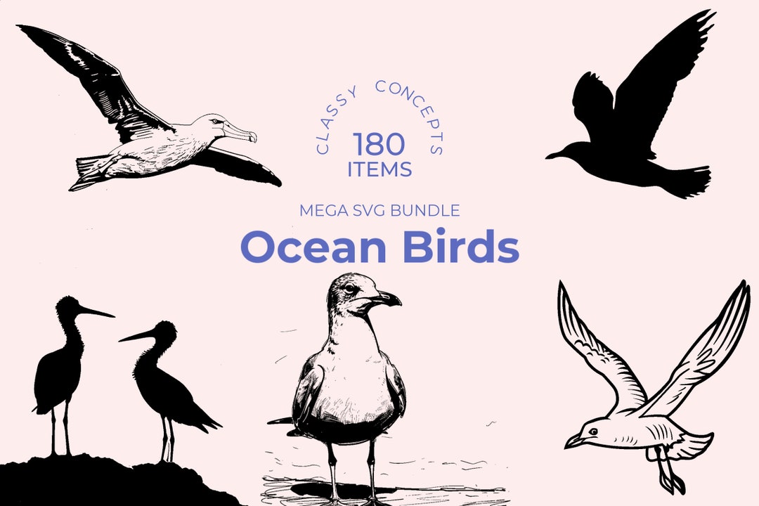 Ocean Birds SVG Bundle 180 Cut Files Coastal Bird Clipart Marine Avian ...