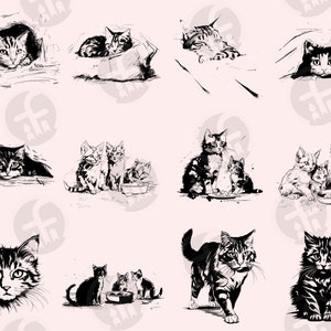 Stray Cat SVG Bundle: 96 Feral Cat Art Designs (digital Download) - Etsy
