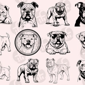 XL Bully SVG Bundle - 96 Cut Files - Muscular Dog Art - Sublimation ...