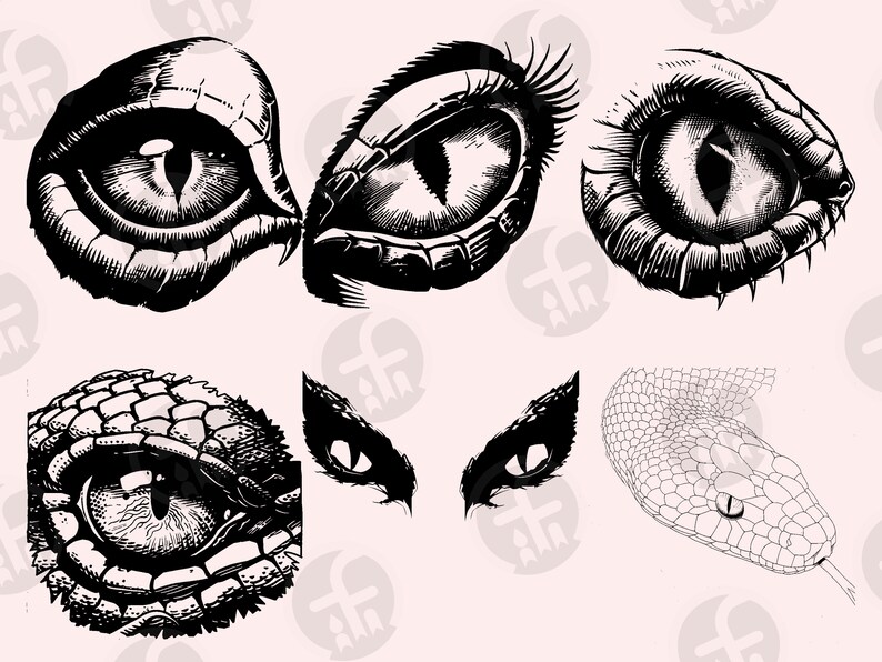 Snake Eye SVG Clipart Bundle: Reptile Gaze Designs (digital Download ...