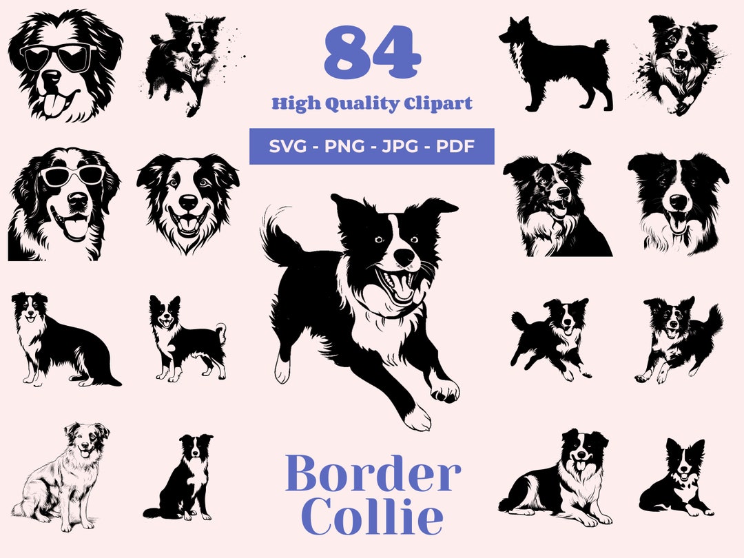 Border Collie SVG Bundle: 84 Dog Illustrations, Cut Files (digital ...