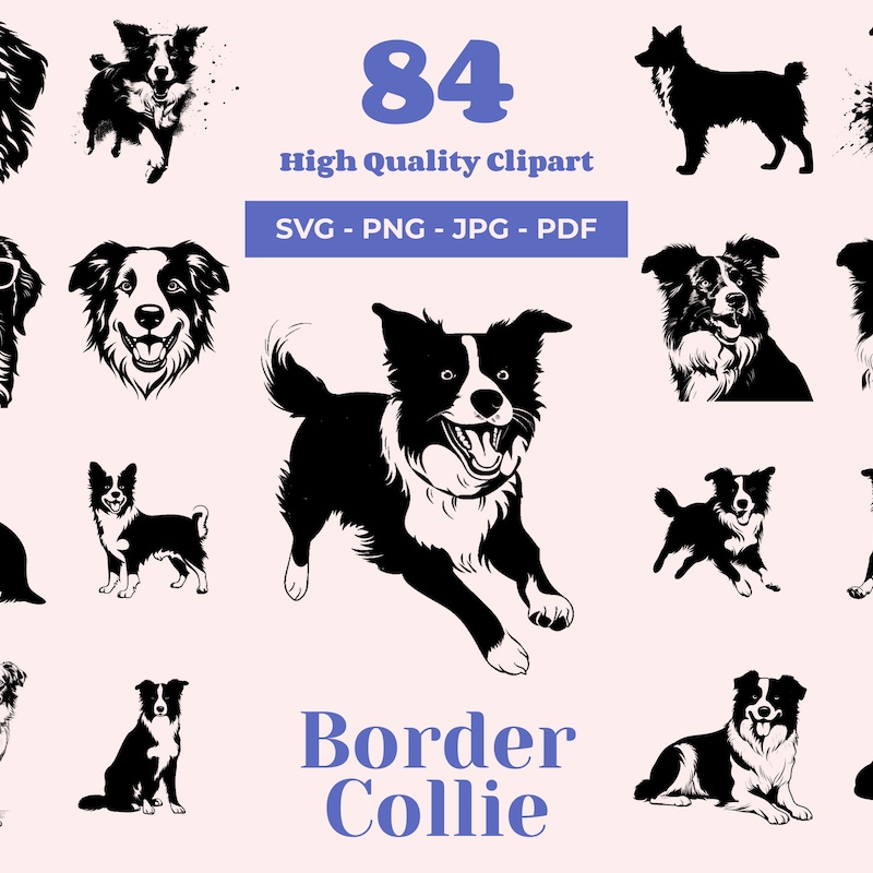 Border Collie Svg - Etsy