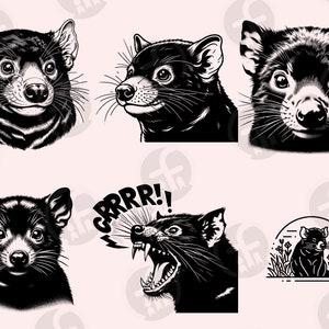 Tasmanian Devil SVG Bundle 36 Cut Files Sarcophilus Designs for Laser ...