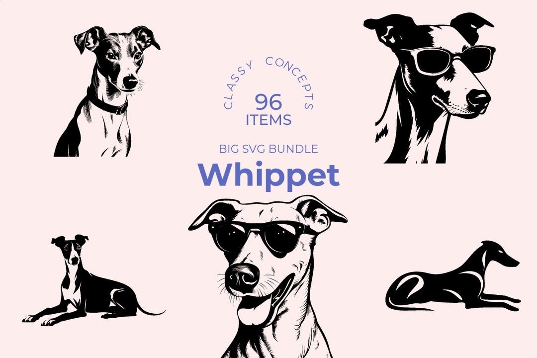 Whippet SVG Bundle 96 Cut Files Sleek Racing Dog Art Sublimation and ...