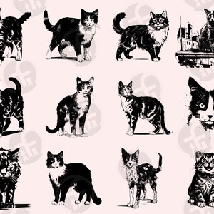 Stray Cat SVG Bundle: 96 Feral Cat Art Designs (digital Download) - Etsy
