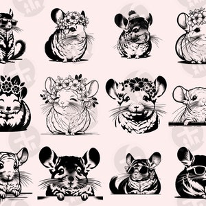 Chinchilla SVG Bundle - 72 Cut Files - Pet Designs for Laser Cutting ...