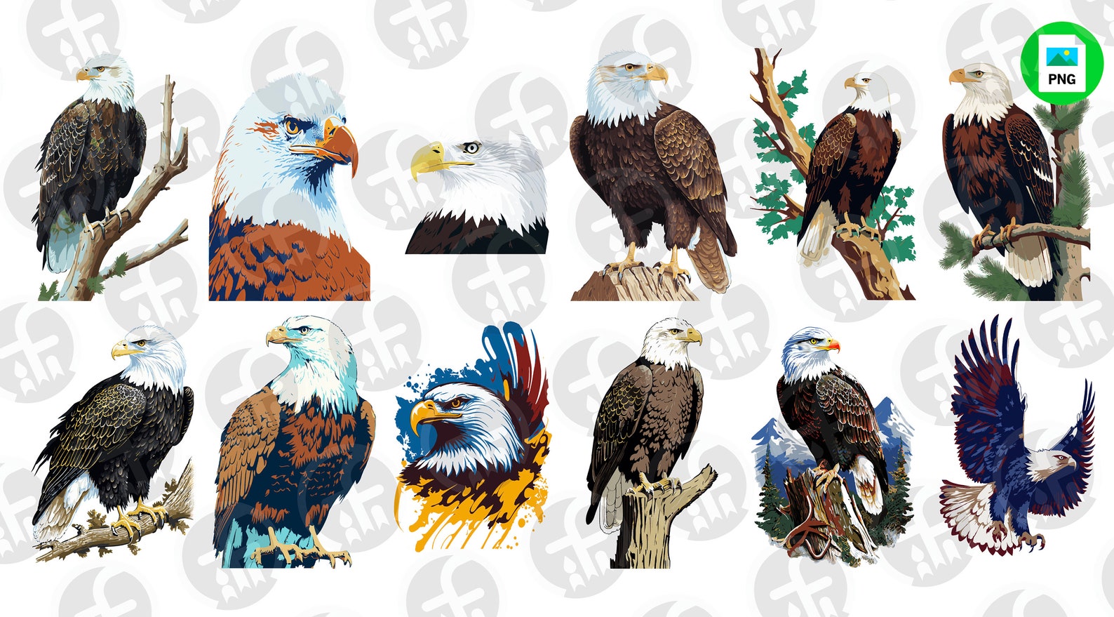 Bald Eagle SVG Bundle 12 Unique Designs SVG & PNG Eagle - Etsy