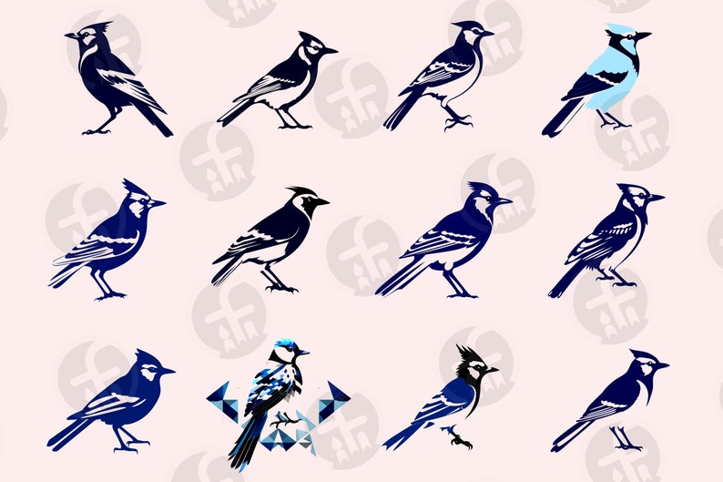 Black and White Blue Jay SVG Bundle 72 Distinct Bird Designs - Etsy