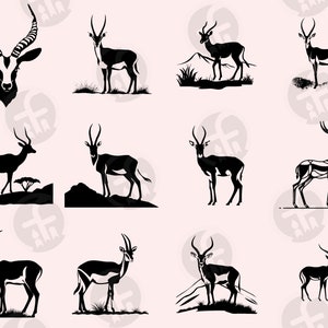 Springbok SVG Clipart Bundle: Safari Animal Designs (digital Download ...