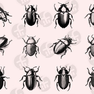 Black Scarab Beetle SVG Bundle 24 Vintage Engravings Cut Files Digital ...