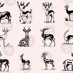 Springbok SVG Clipart Bundle: Safari Animal Designs (digital Download ...