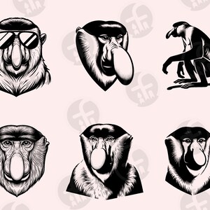 Proboscis Monkey SVG Bundle 54 Designs Monkey Sublimation Laser Files ...