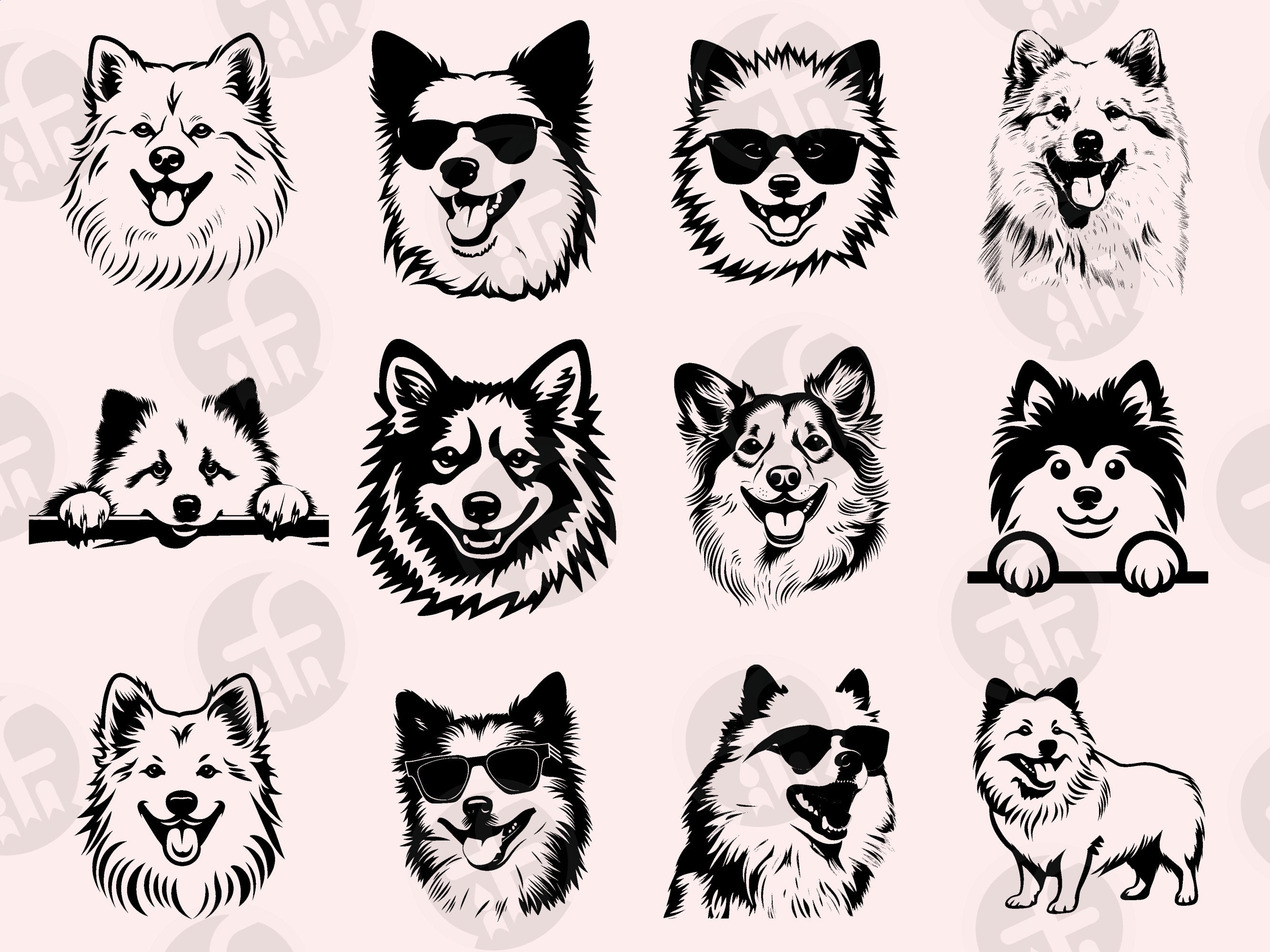American Eskimo Dog SVG Bundle: 96 Spitz Designs (digital Download) - Etsy