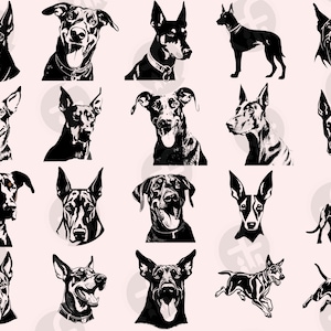 Doberman SVG Bundle - 159 Cut Files - Dobie Art - DIY Craft Projects ...