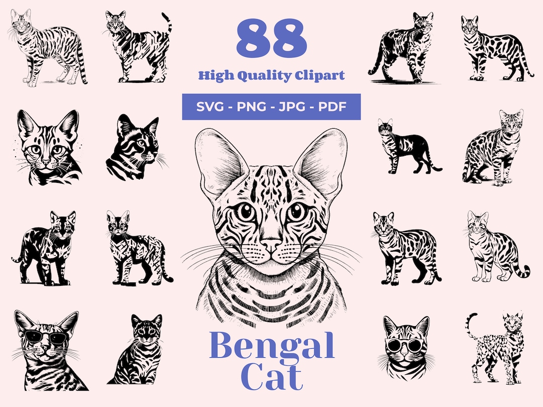 Bengal Cat SVG Bundle - 88 Designs - Bengal Laser Files - Bengal ...