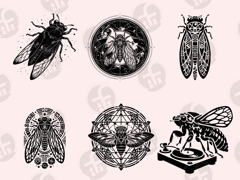 Cicada SVG Bundle: Insect Clipart, Laser Cut Files (digital Download ...