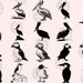 Ocean Birds SVG Bundle 180 Cut Files Coastal Bird Clipart Marine Avian ...
