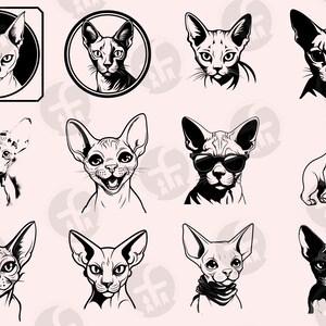 Sphynx Cat SVG Bundle 96 Unique Cut Files Hairless Beauty Wrinkled ...