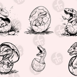 Hatching Dinosaur SVG Bundle 36 Cut Files Dino Egg Baby Dinosaurs ...