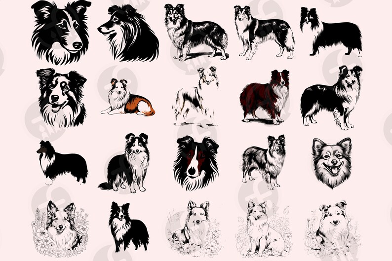 Sheltie SVG Bundle: 167 Shetland Sheepdog Silhouette Designs (digital ...