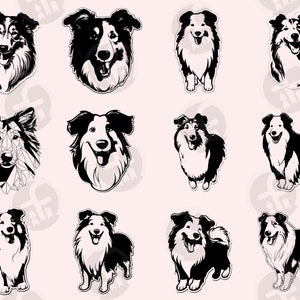 Rough Collie SVG Bundle - 96 Cut Files - Herding Dog - Lassie Dog ...