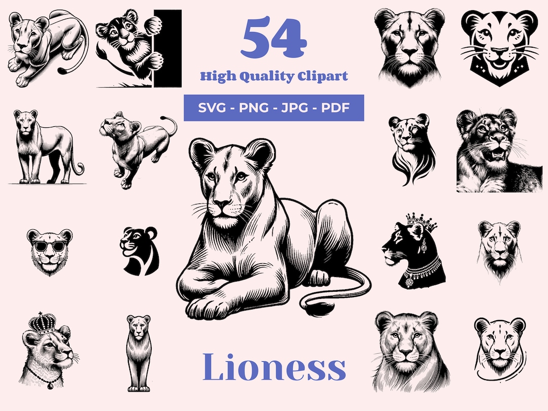Lioness SVG Clipart Bundle: African Wildlife Designs (54 Files) - Etsy