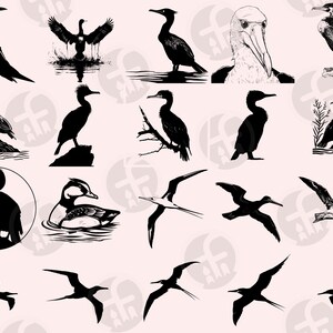 Ocean Birds SVG Bundle 180 Cut Files Coastal Bird Clipart Marine Avian ...
