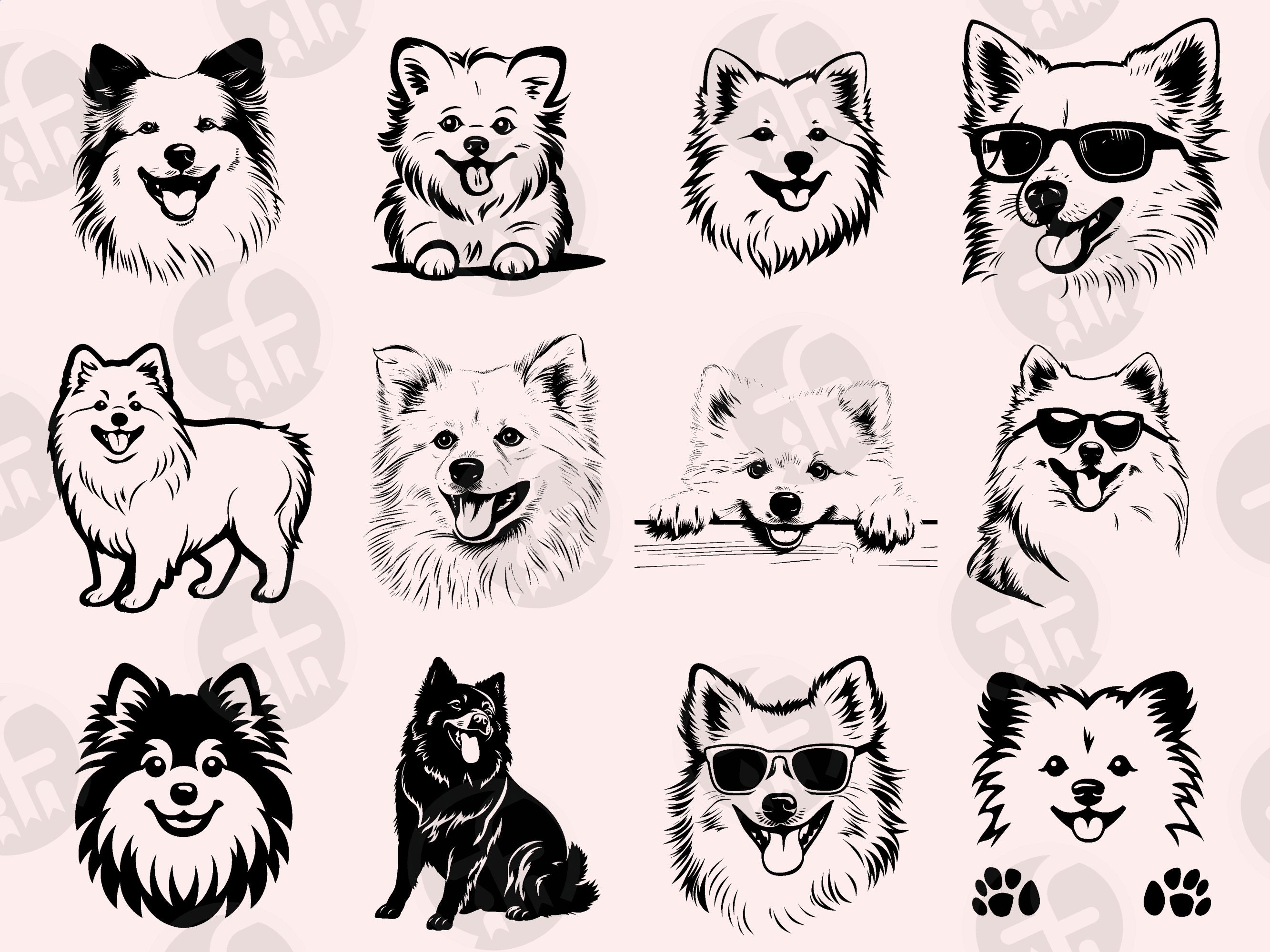 American Eskimo Dog SVG Bundle: 96 Spitz Designs (digital Download) - Etsy