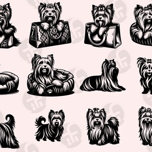Silky Terrier SVG Bundle 84 Cut Files Elegant Small Dog Art Sublimation ...