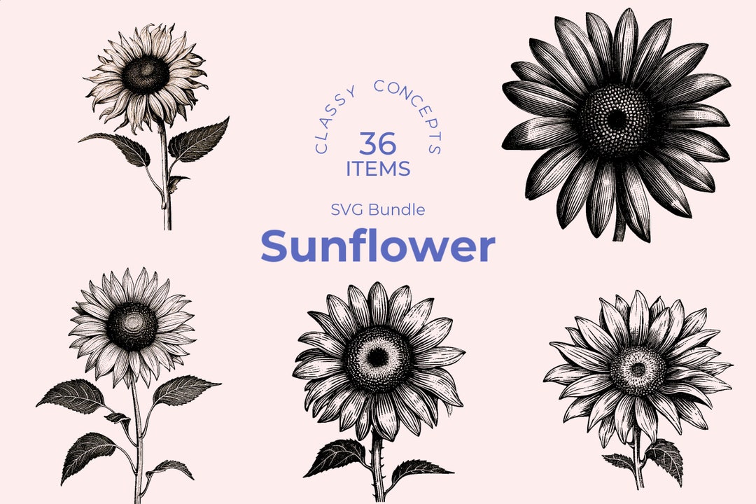 Sunflower Engraving SVG Bundle: 36 Vintage Cut Files (digital Download ...