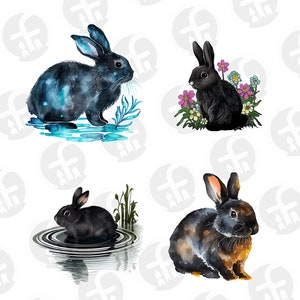 Symbol of 2023: the Black Water Rabbit - 24 Unique Designs - Year of ...