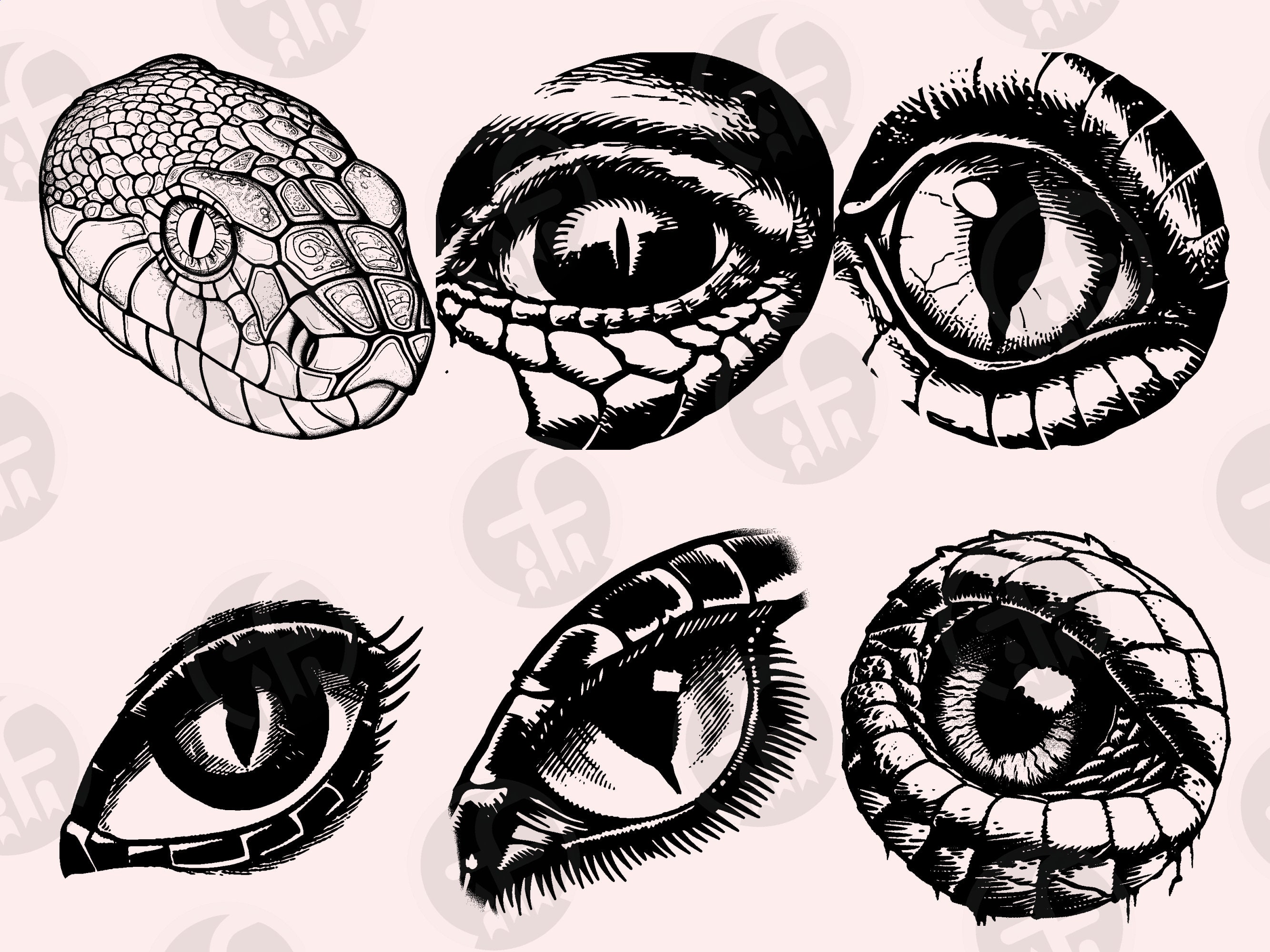 How To Draw A Snake Eye