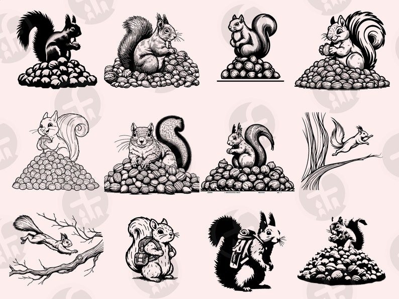 Squirrel SVG Bundle: 96 Woodland Animal Cut Files (digital Download) - Etsy